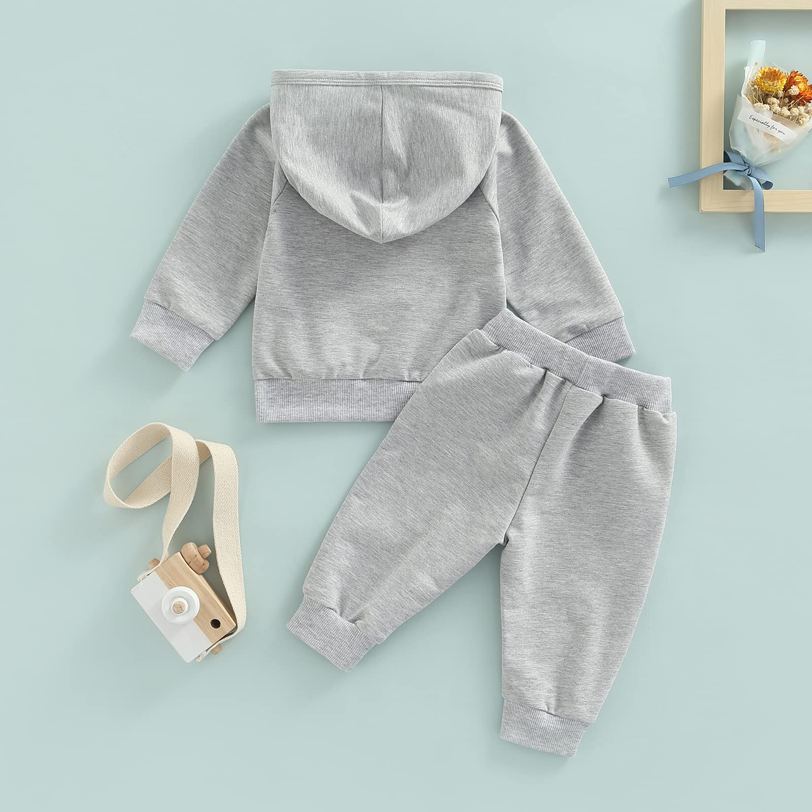 Endorothii Toddler Baby Boy Long Sleeve Solid Hoodies Sweatshirt Pants Outfit Set 2 Piece Sweatsuit Fall Clothes (Grey, 12-18 Months)