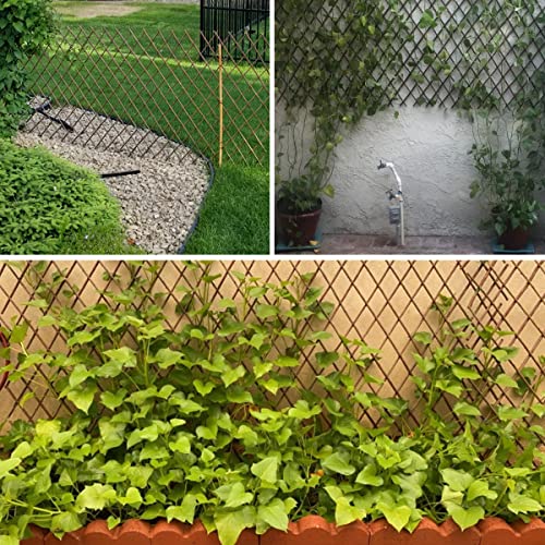 Helprise Expandable Willow Lattice Fence Panel Plant Support Garden Trellis for Climbing Vine Ivy Rose Cucumbers Clematis Outdoors Garden Yard, 36X92 Inch(1PC)