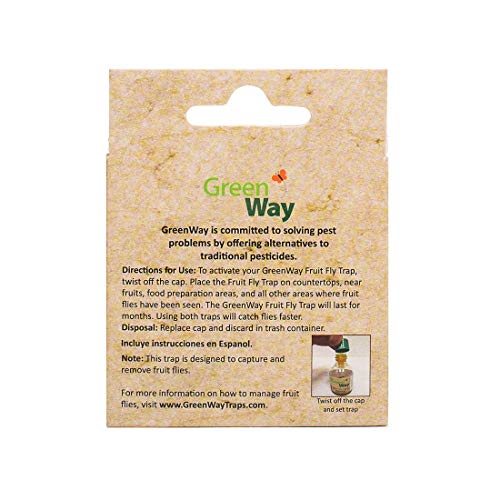 Greenway Traps Fruit Fly Trap (24 Traps) - Indoor and Kitchen Fruit Fly Trap - Eliminates Fruit Fly Infestations - Eliminate Adult Fruit Flies
