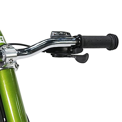 Burley Trailer Bike