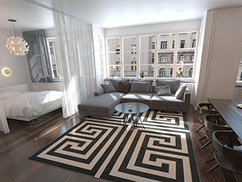 Unique Loom Athens Collection Classic Geometric Modern Border Design Area Rug, 9 ft x 12 ft, Black/Beige