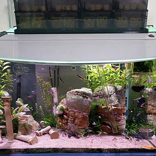 hygger 6.2-Inch Long Aquarium Bio Media Ceramic Filter Media Blocks for Sump Tank Pond Saltwater Aquarium Fish Tank Biological Media (7.9 lbs,40-Pack)