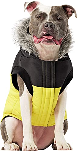 Canada Pooch True North Parka - Yellow - Size 10, 10 (9-11" Back Length)