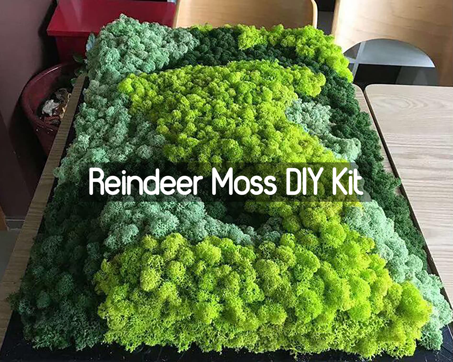Prefleur Preserved Reindeer Craft Moss Natural Green DIY Kit Gardenning Art Wall Florist Easter Table Wedding(0.85lb)(Green-05)