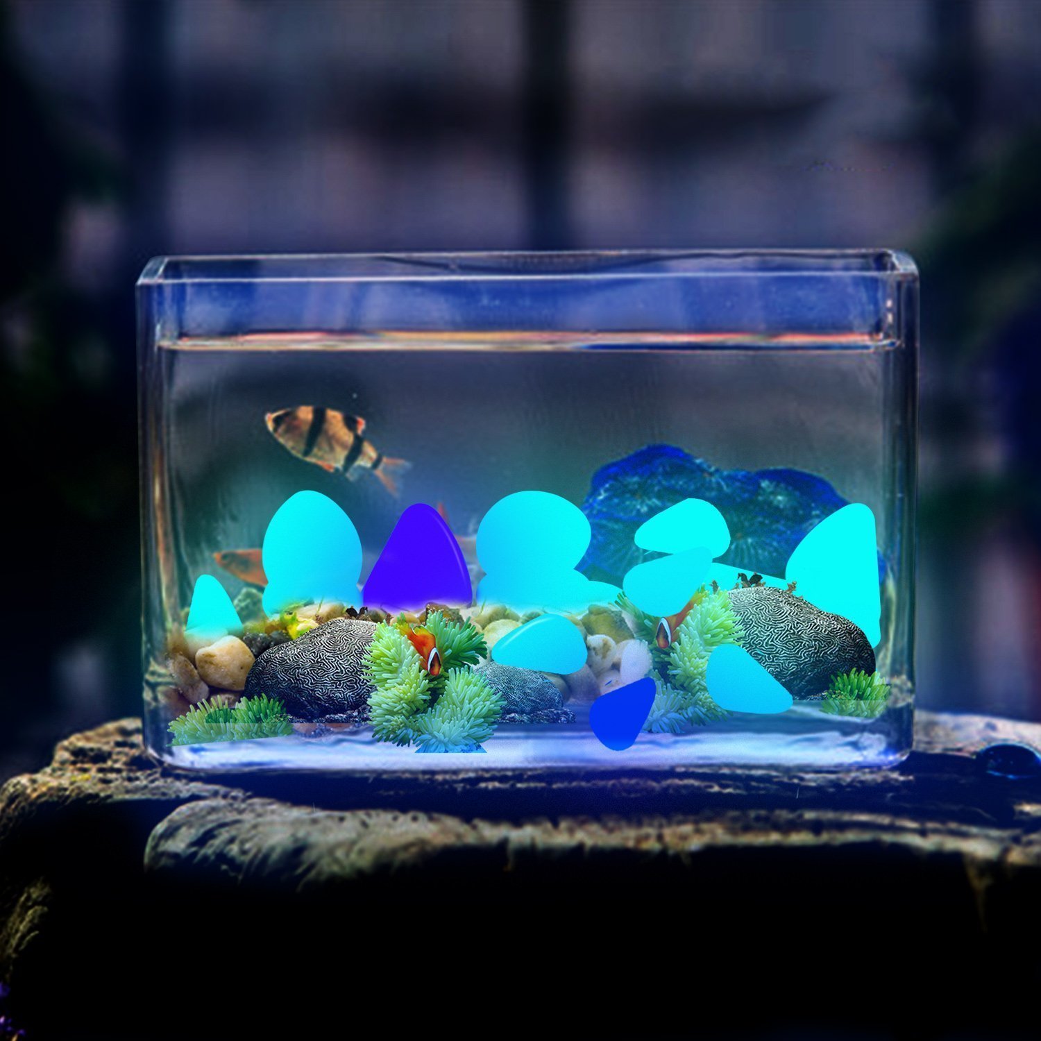 GLOCARNIVAL Glow Pebbles, 480 pcs Blue Glowing Rocks for Outdoor Decor, Garden Lawn Yard, Aquarium, Walkway, Fish Tank, Pathway, Luminous Pebbles Powered by Light or Solar