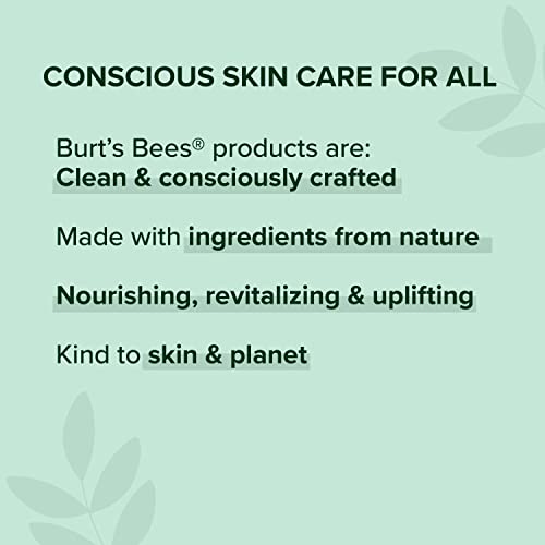 Burts Bees 100% Natural Tinted Lip Balm, Red Dahlia with Shea Butter & Botanical Waxes 1 Tube