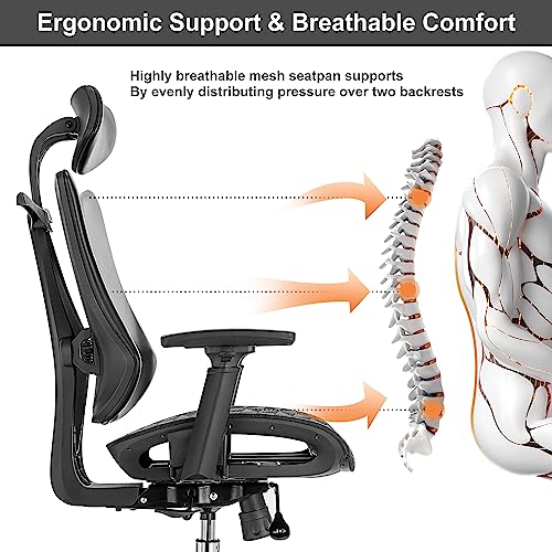 BV Ergonomic Dual Backrests Office Chair, Lumbar Support Office Desk Chair Back Support, Breathable mesh Office Chair 3D Adjustable Armrest(Foam Black)