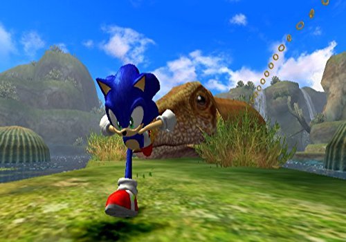 Sonic and the Secret Rings - Nintendo Wii (Renewed)