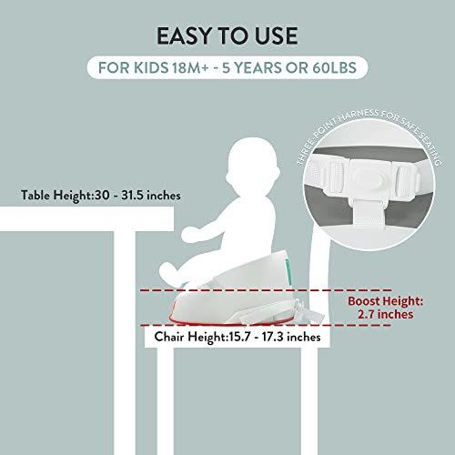 Prince Lionheart Squish Booster Seat, Gray, 3-Point Harness Dual-Strap System, Easy to Wipe Clean, Lightweight