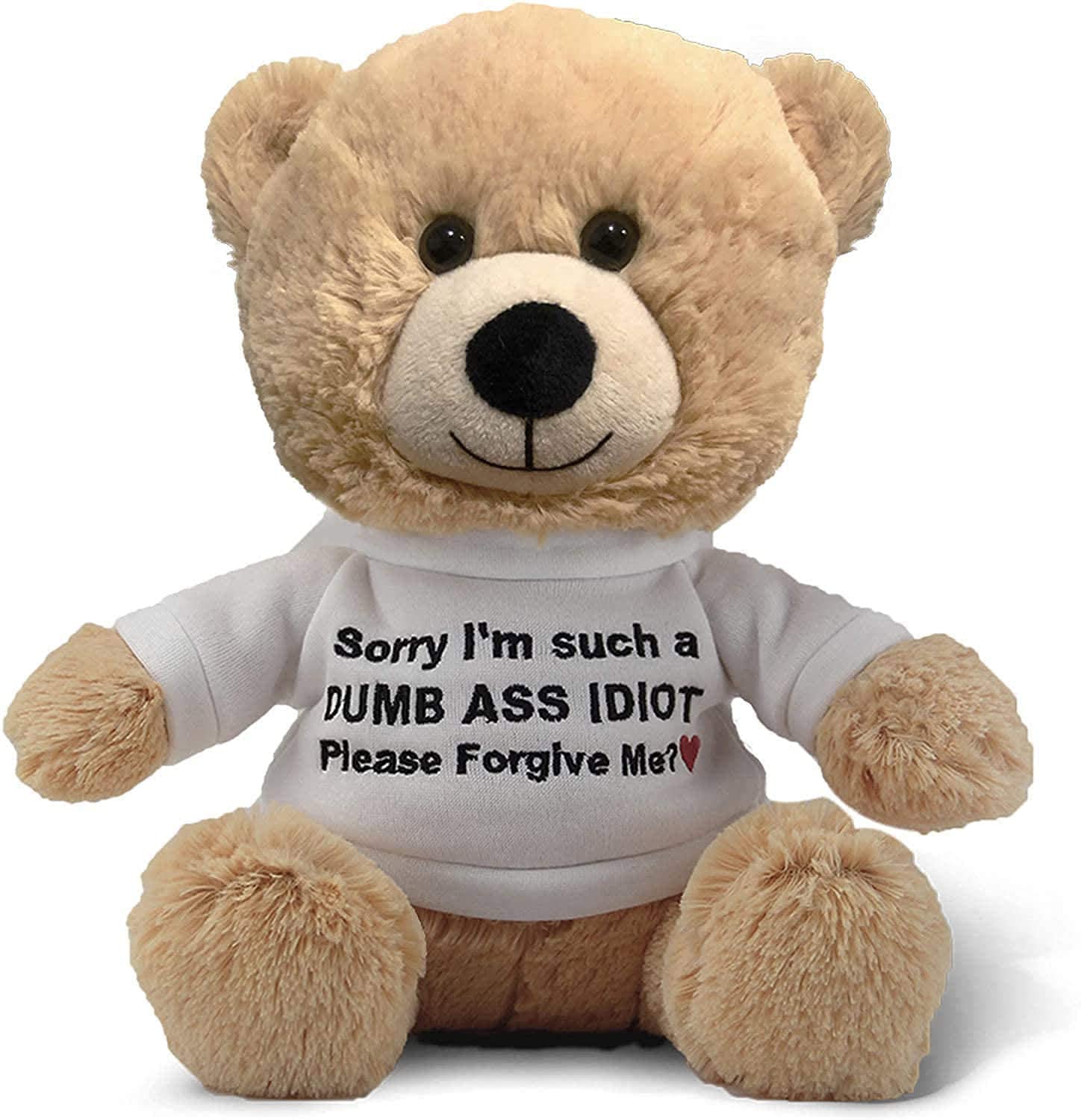 Sorry I'm An Idiot" 10" Teddy Bear with Gift Bag - Cute Funny Apology Plush for Girlfriend, Boyfriend, Best Friend