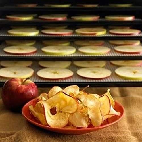 Superior 9 Pack Super Non-stick, Dupont Teflon Re-usable Food Dehydrator Sheets for Excalibur 2500, 2900, 3500, 3900 or 3926t. Sheet Measures 14β X 14β Fits Excalibur 5 and 9 Trays.