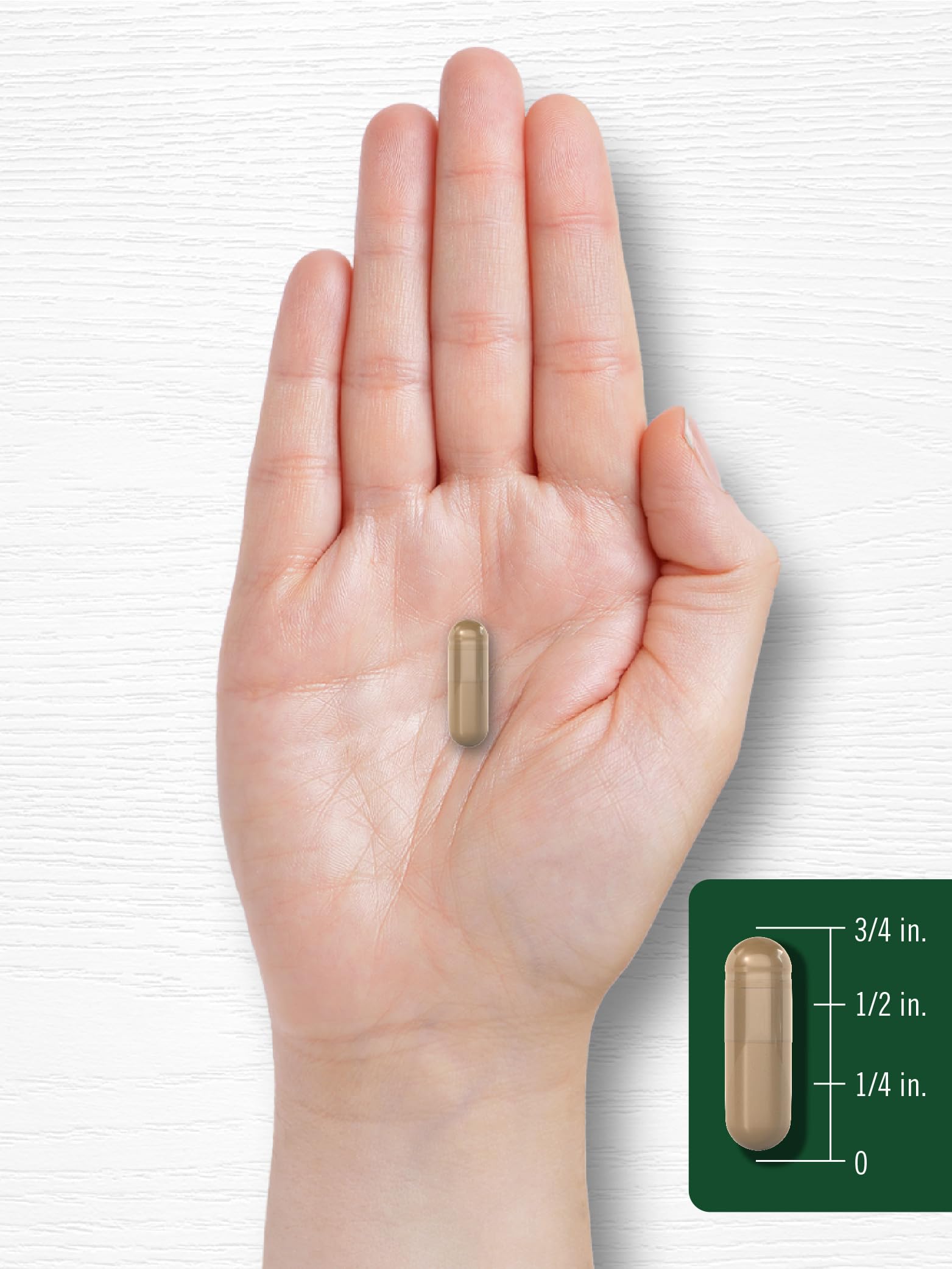 Carlyle Melissa Lemon Balm | 200 Capsules | Non-GMO and Gluten Free Formula | Melissa Leaf Traditional Herbal Supplement | Super Concentrated Extract
