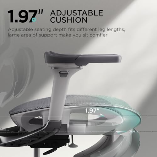 Hbada E3 Pro Ergonomic Office Chair, Big and Tall Office Chair - with 3-Zone Dynamic Lumbar Support, 4D Adjustable Headrest, 6D Adjustable Armrests, Swivel Computer Chair for Home Office, Grey