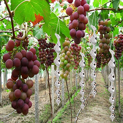 Haierc Bird Repellent Reflective Scare Rods Hanging Ornamental Spiral Rods-Keep Birds Woodpecker Away-8/12 Inch