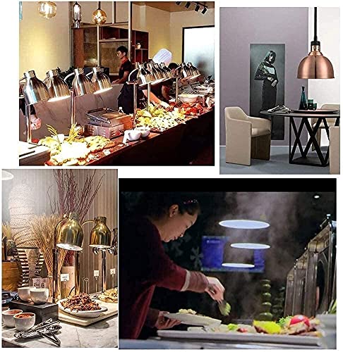 SZDYQ Kitchen Heat Lamp Food Warmer Single/Double Bulbs Buffet Carving Station lamp Display Heating Preservation Light,Portable 250 watt Heat Lamp (Color : Silver, Size : Double head)