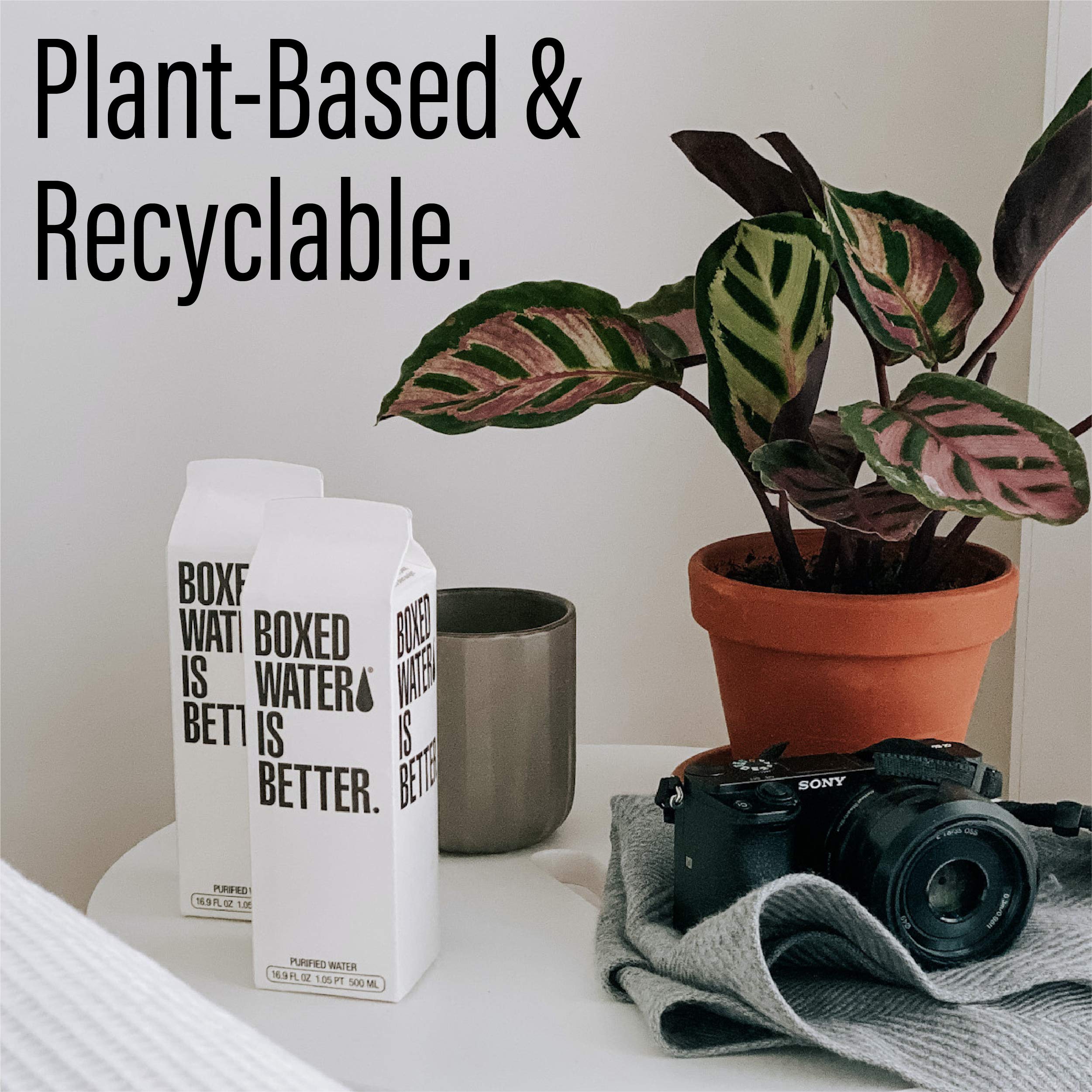 Boxed Water 16.9 oz. (12 Pack) – Purified Drinking Water in 92% Plant- Based Boxes – 100% Recyclable, BPA-Free, Refillable/Reusable Cartons – More Sustainable than Plastic Bottled Water