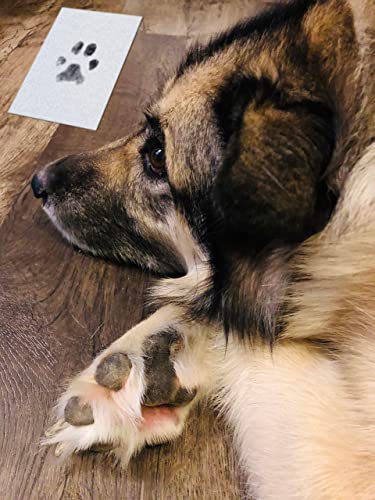 Green Pollywog - Extra-Large Clean Touch Inkless Ink Pad for Pets | Pawprints for Dogs & Cats Non-Toxic | Paw Print Stamp Kit | Dog Paw Print Kit | Cat Footprint Keepsake (2-Pack)