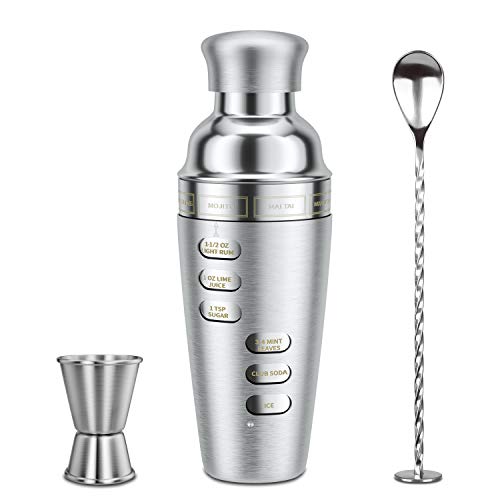 Cocktail Shaker Martini Shaker Set with Recipe, 24 oz Martini Shaker Drink Shaker Drink Mixer Stainless Steel Cocktail Shaker Set Bartender Kit