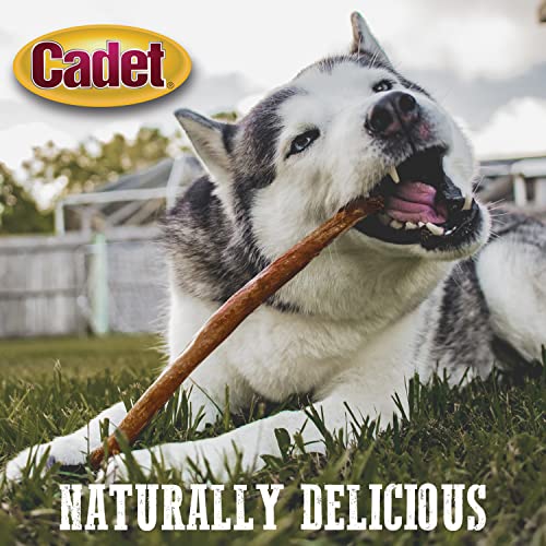 Cadet Bully Hide Sticks for Small, Medium and Large Dogs β All-Natural Beef Pizzle, High Protein, Low Fat, Long-Lasting, Grain & Rawhide-Free Dog Chews for Aggressive Chewers, Large (7 Count)