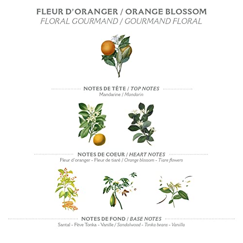 Panier des Sens Eau de Toilette, perfume for women, Orange Blossom Fragrance - Made in Provence - 1.7Floz/50ml