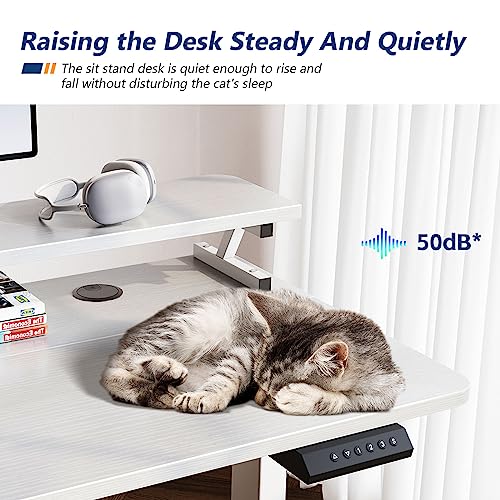 KKL Height Adjustable Electric Standing Desk with Monitor Shelf, 48 Inch Stand Up Table, Sit Stand Desk with 4 Memory Preset,Home Office Computer Workstation,Motorized Rising Desk,White