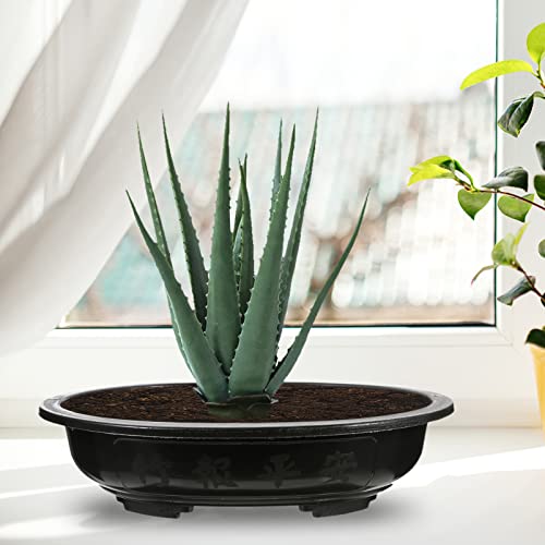 DOITOOL Bonsai Training Pots, 6Pcs 15β Bonsai Plants Growing Pot Large Deep Flower Pot, Plastic Oval Planter Pot with Drainage Hole for Nursery, Garden, Balcony