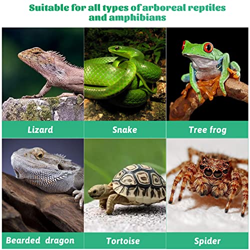 Hamiledyi Bearded Dragon Hammock Lizard Jungle Climber Vines Reptile Corner Branch Coconut Shell with Suction Cups for Gecko,Snakes,Chameleon