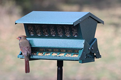 H-F Green Absolute II Two Sided Feeder With Windows