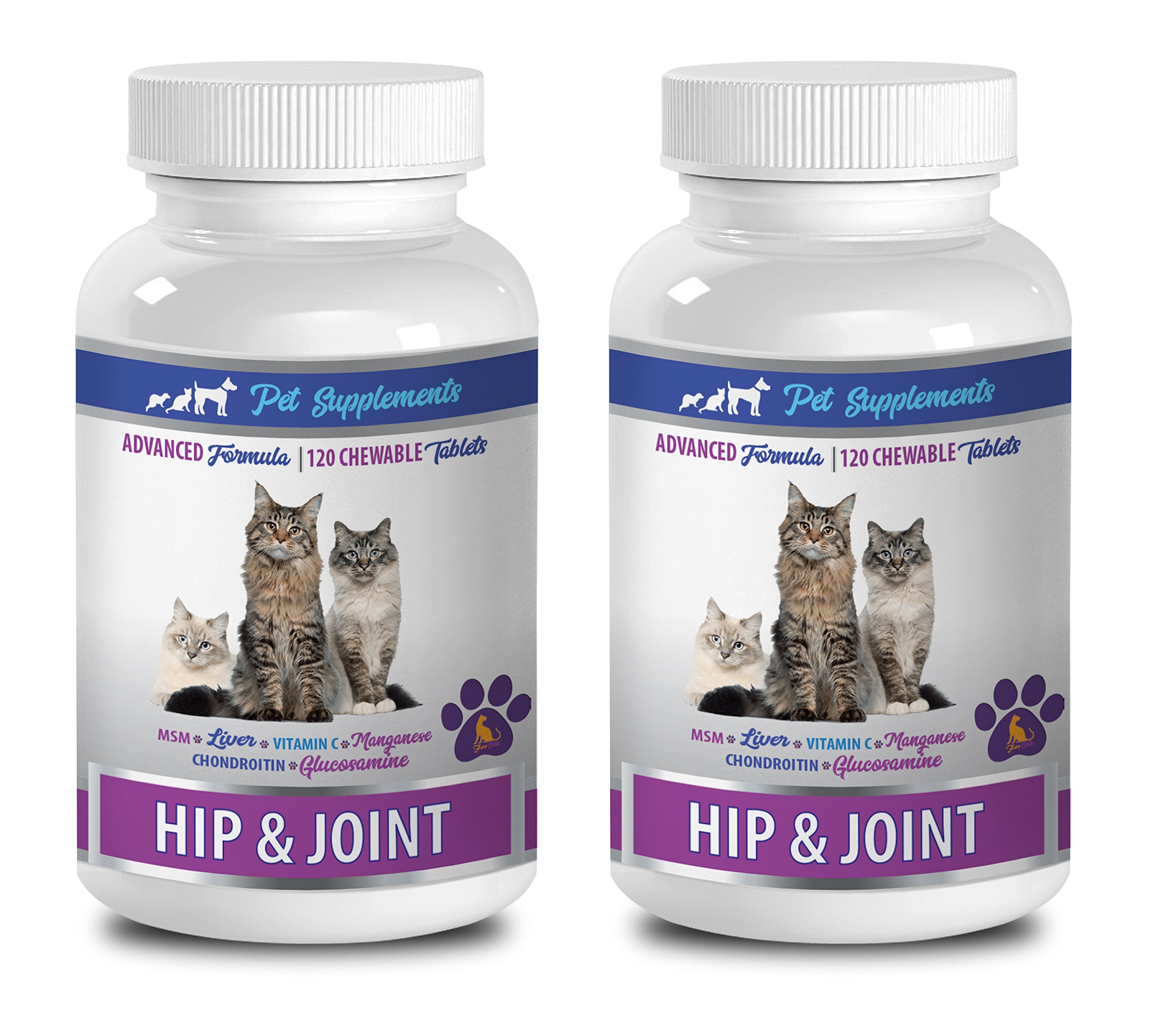 Hip and Joint Support for Cats - Hip and Joint - for Cats - Health and Care - CHEWABLE - cat Liver Supplement - 2 Bottle (240 Chews)