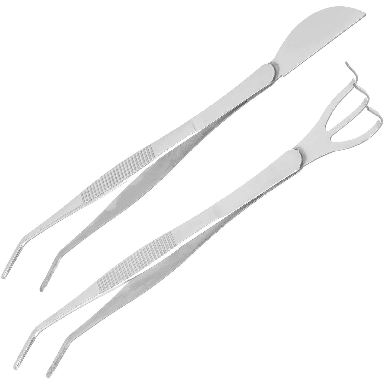 DOITOOL 1 Set Bonsai Tweezers Plating Tweezers Mini Plant Rake Tweezers for Crafts Bonsai Tools Crafts Tweezers Bonsai Tree Tweezers Angled Potted Plant Stainless Steel Moss