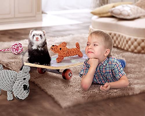 HAICHEN TEC 6 Pack Ferret Rope Chew Toys Durable Knotted Rope Tug Perfect for Teething Mammals, Cotton Rope Toys Interactive Dog Rope Toy Set Machine-Washable (6 Pack)