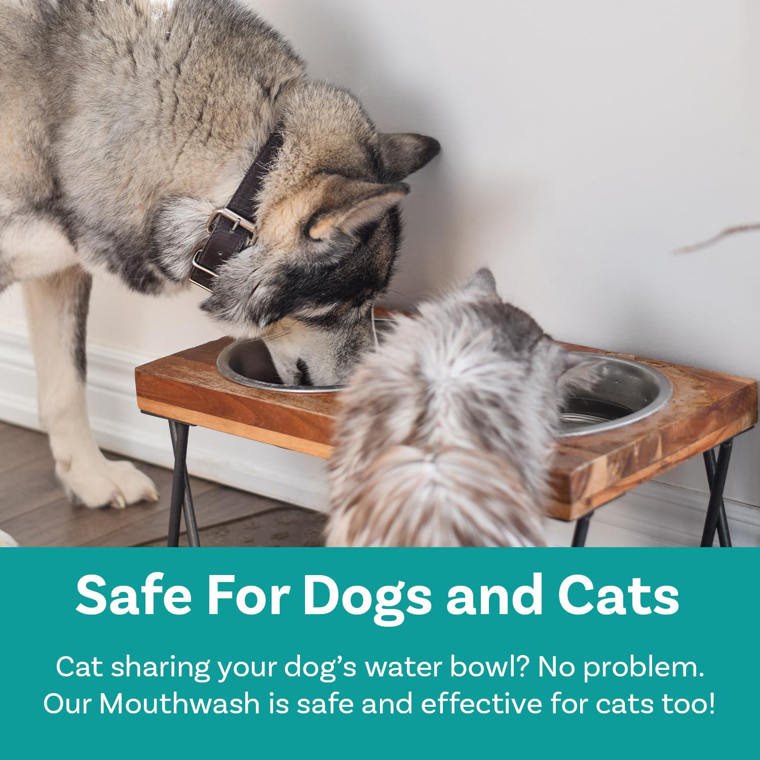 Dog Mouthwash, Dental Water Additive for Fresh Breath, Plaque & Tartar Control, Best Natural Cleaning Freshener Formula for Healthy Teeth & Gums, Advanced Easy-to-Use Oral Care Solution