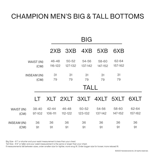 Champion mens 9" Shorts, Mesh Shorts, 9", Mesh Basketball Shorts, Mesh Gym athletic shorts, Navy-407q88, Large US