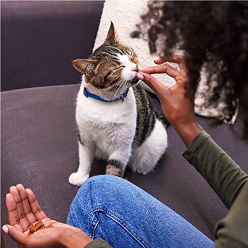 TEMPTATIONS Classic Treats for Cats Blissful Catnip Flavor 3 Ounces (Pack of 12)