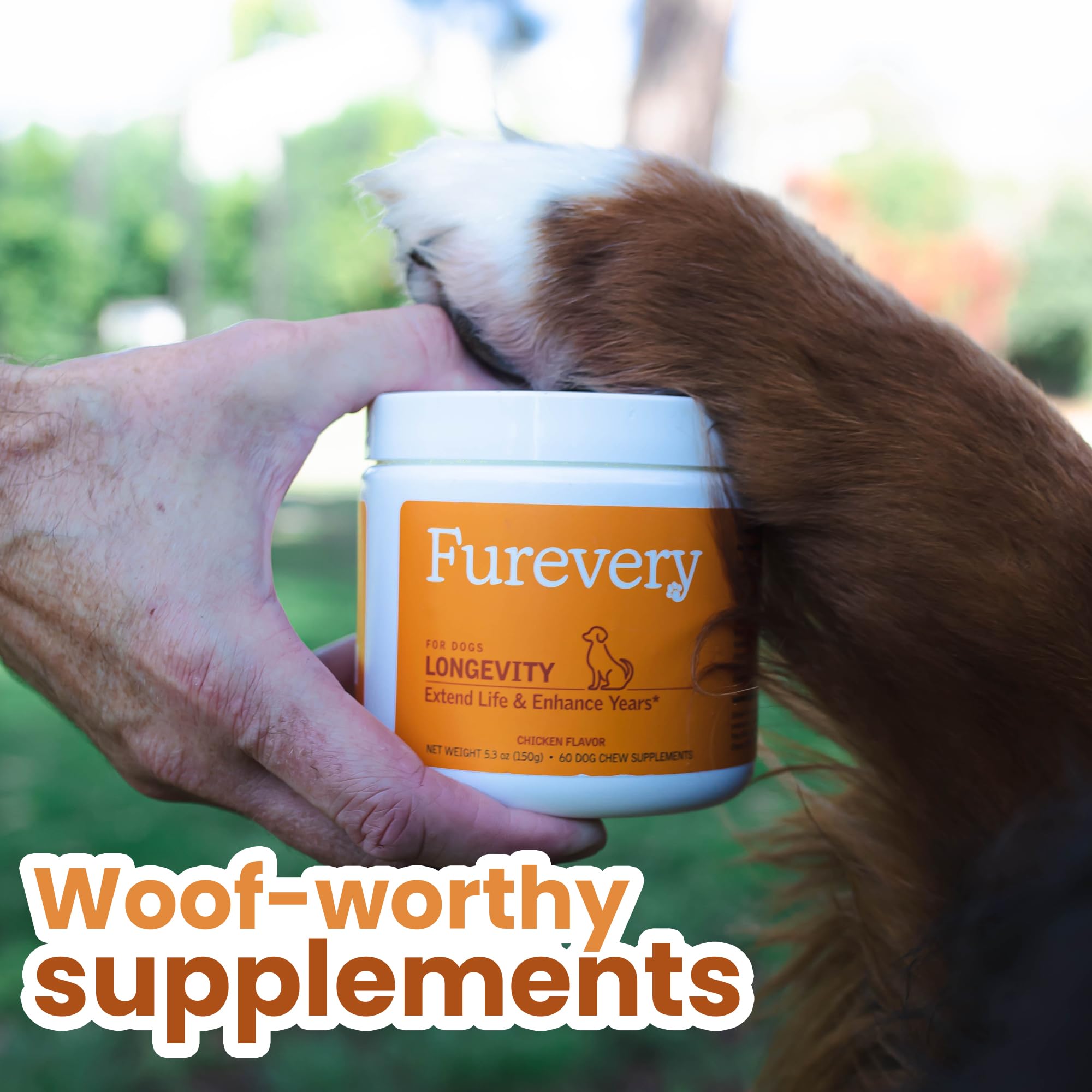 Furevery Chewable Dog Vitamins and Supplements β Daily Longevity Multivitamin for Dogs with Curcumin, Taurine, Trans-Resveratrol β Essential Vitamins for Dogs to Support Wellness and Vitality