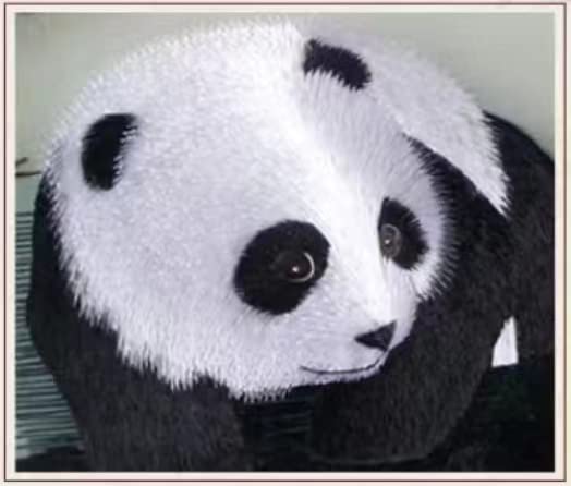 Chinese Shu Embroidery Fan, Handmade 100% Mulberry Silk, Round Fan Double Sided Embroidery Animals Panda (White)