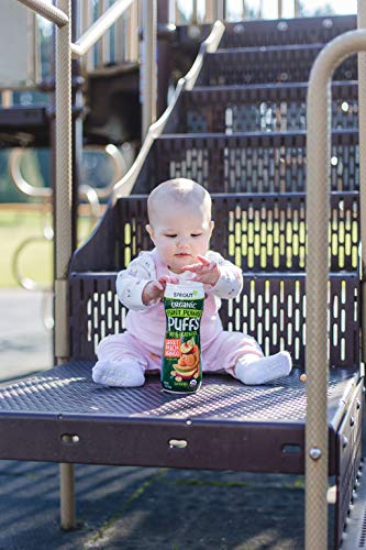 Sprout Organic Snacks Plant Power Puffs baby Food, 1.5 Oz