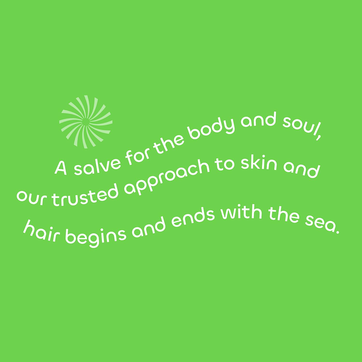 Seaweed Bath Co. Balance Shampoo, Eucalyptus Peppermint Scent, 12 Ounce, Sustainably Harvested Seaweed, Pro Vitamin B5, For Normal to Oily Hair