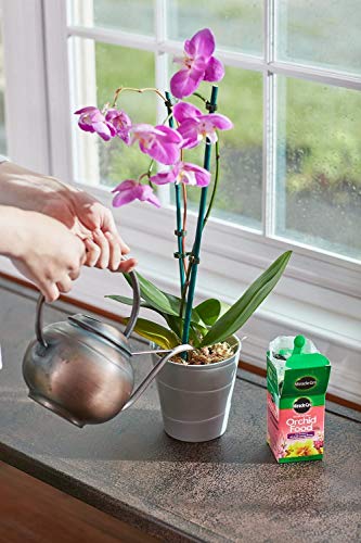 Miracle-Gro Water Soluble Orchid Food, Plant Fertilizer, 8 oz. (12-Pack)
