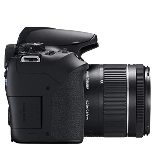Canon EOS Rebel T8i DSLR Camera Bundle with 18-55mm STM Lens, Tripod, 64GB Memory Card, Battery, Carry Case, Filters, and Accessories