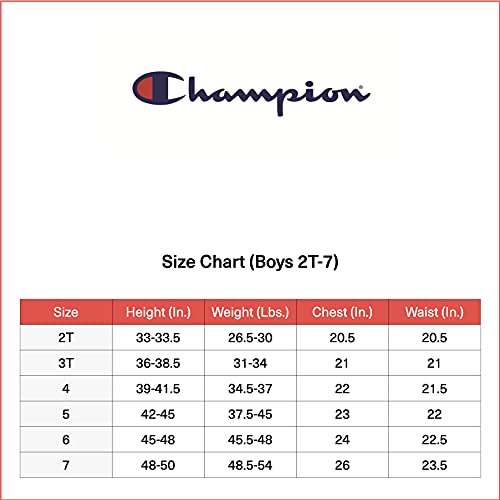 Champion Boys Short Sleeve Tee Shirt Chest Script Big and Little Boys Top (Black, Small, s)