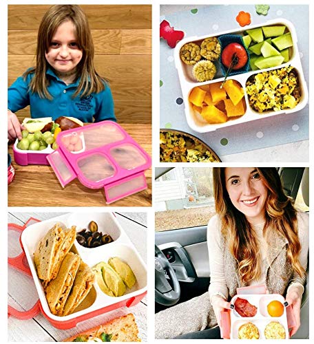 kinsho Bento Box for Kids, Toddler Lunch-Box Snack Container for Small Boys Girls in School Pre-School Daycare, Leakproof 3 Compartment Containers for Snacks, BPA Free. Medium Orange Pink 2 pack