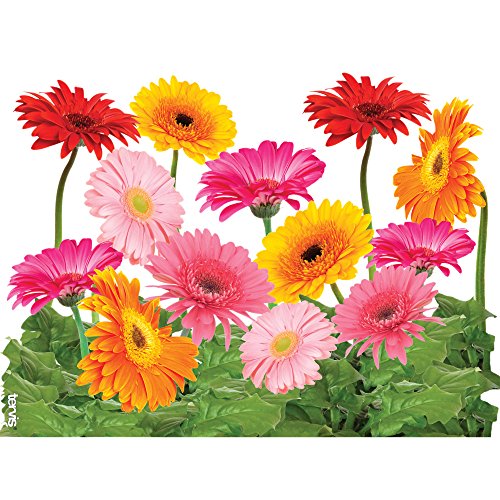 Tervis Gerbera Daisies Made in USA Double Walled Insulated Tumbler Travel Cup Keeps Drinks Cold & Hot, 24oz, Classic