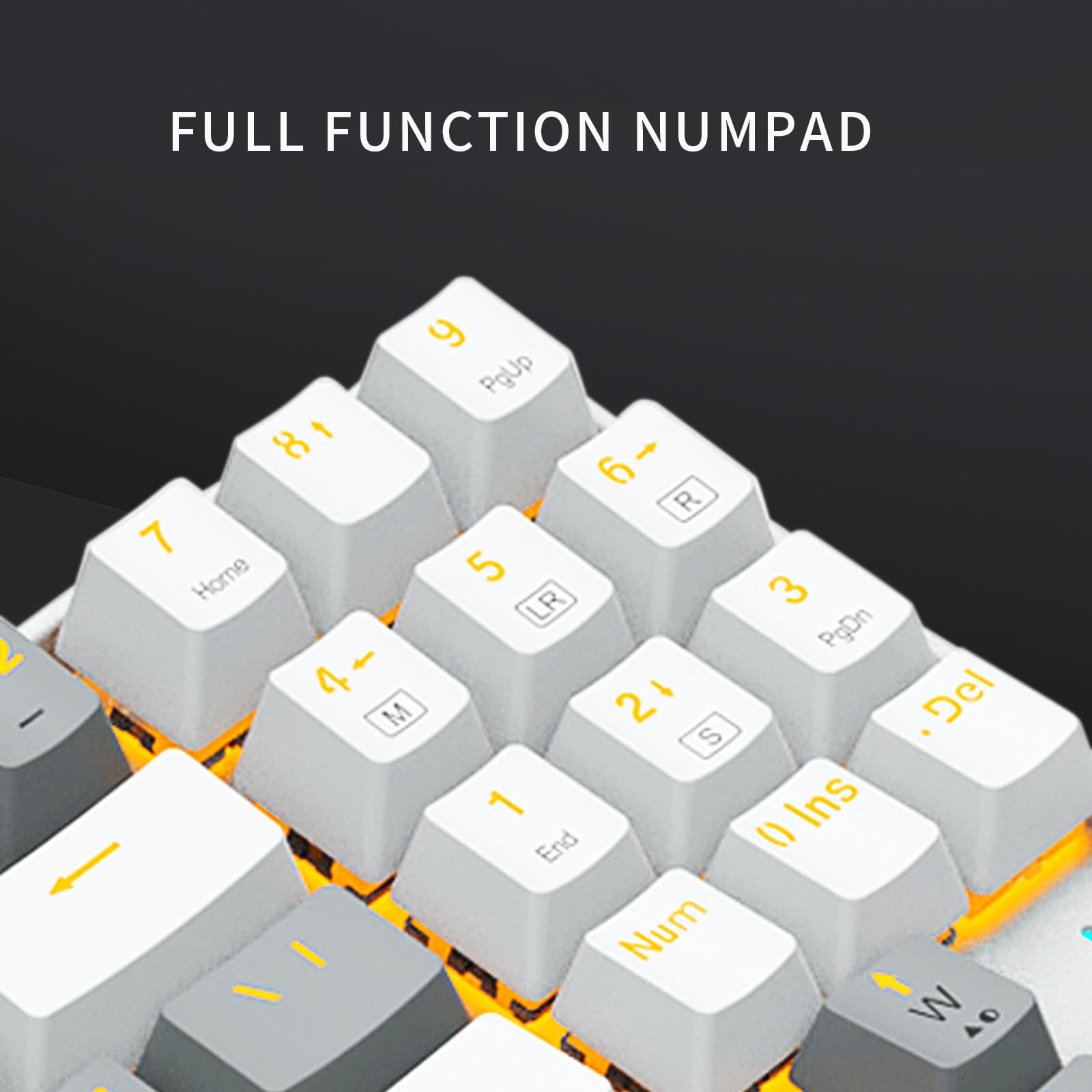 DEANEEK Mechanical Keyboard 89 Keys LED Backlight Tenkeyless W/Nampad Gaming Keyboard, USB Wired Computer Keyboard with TKL Tenkeyless Hot-Swappable Ultra-Slim Anti Ghosting Z-13GW (Red Switch)