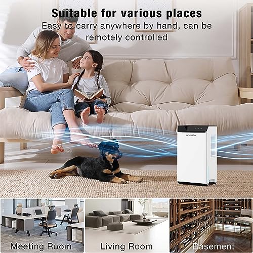 Dehumidifier for Home with Drain Hose, 68OZ Water Tank, Dual Semiconductor, Auto Shut off, Auto Defrost,Portable Dehumidifier for Bedroom, Bathroom, RV, Basement, Closet