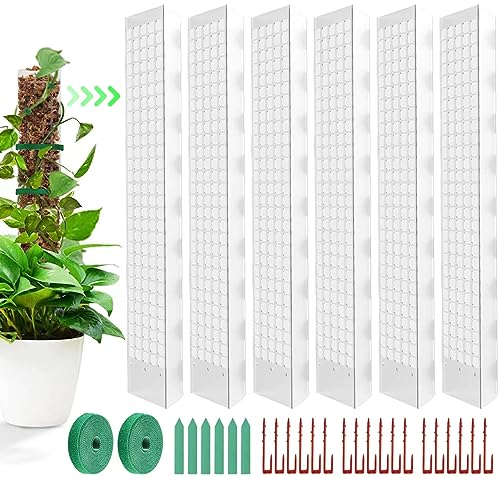 Gardzizy Plastic Moss Pole 6 Pcs 24 Inch Moss Poles for Plants Monstera Climbing Plants, Plant Support for Indoor Plants Work with Sphagnum Moss (6 Pack)