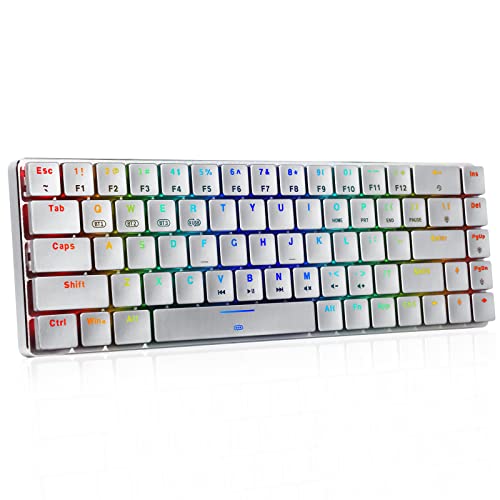 chuangquan CQ009 Mechanical Wireless/Wired Gaming Keyboard Bluetooth 5.0 RGB Backlit Blue Switch Compact 69 Keys Compatible with PC, Laptop and Smartphone (Silver)