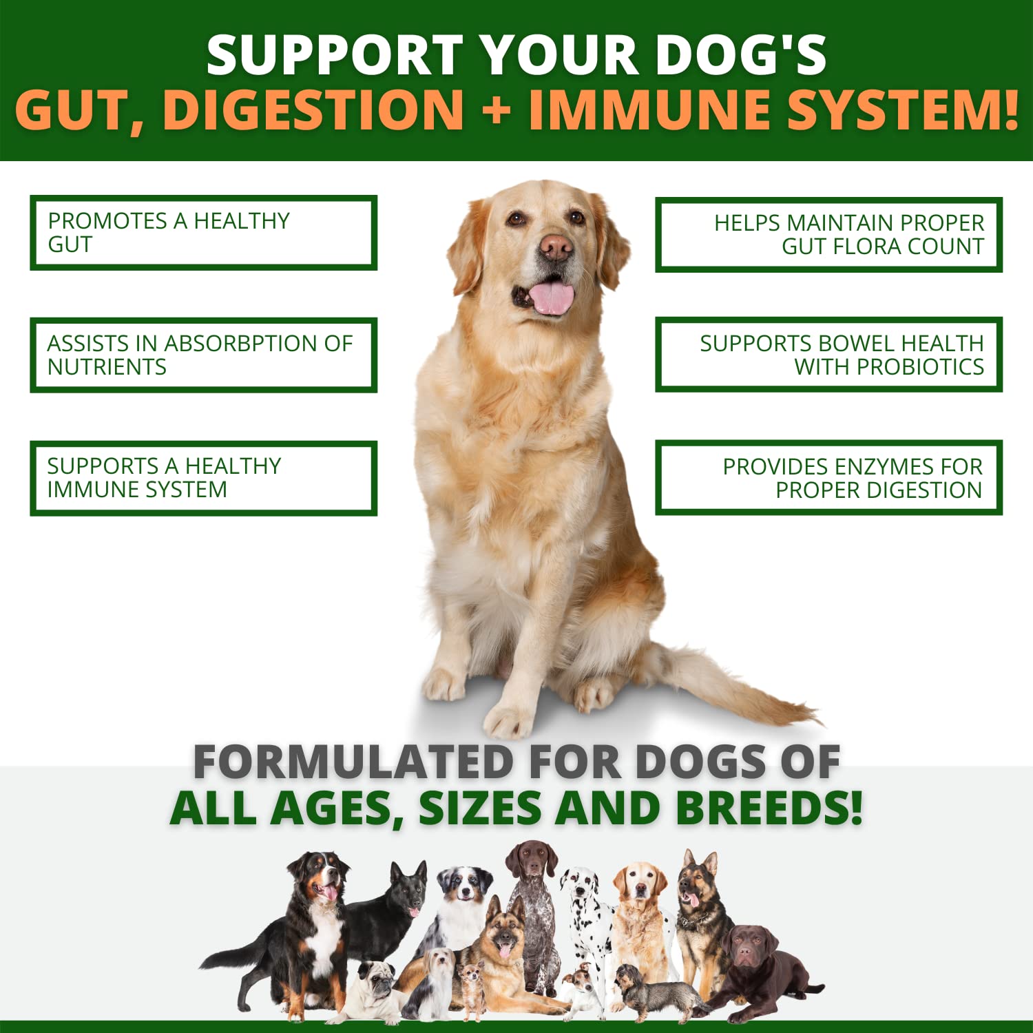 Probiotics for Dogs - Digestive Health, Gut Flora, Bowel Support, Immune System Support - Soft Chews Supplement for Dogs 120 ct, Made in USA