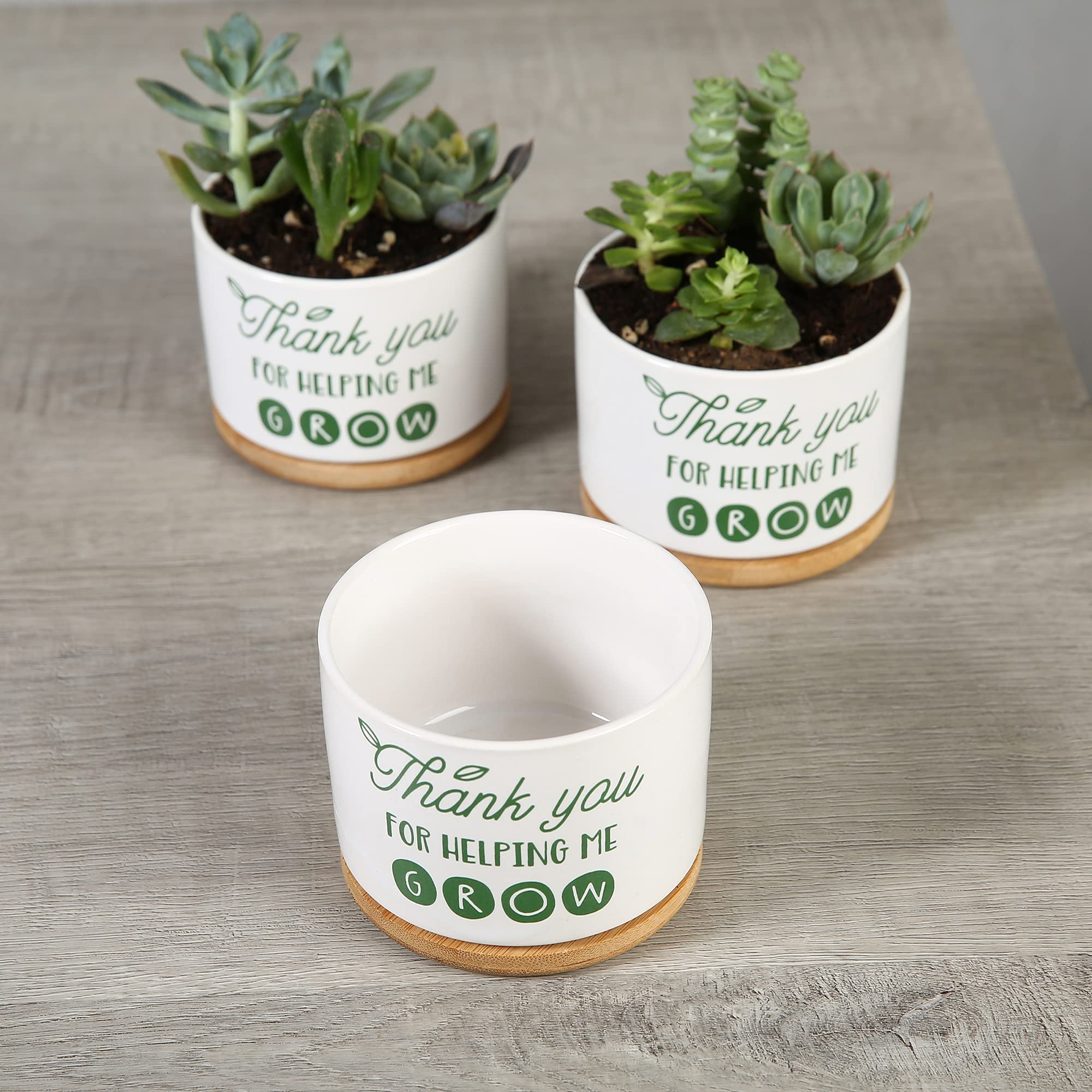 DOMG Teachers Appreciation Gift, Ceramic Succulent Plant Pot Small Flower Planter for Indoor Outdoor Use, Thank You for Helping Me Grow