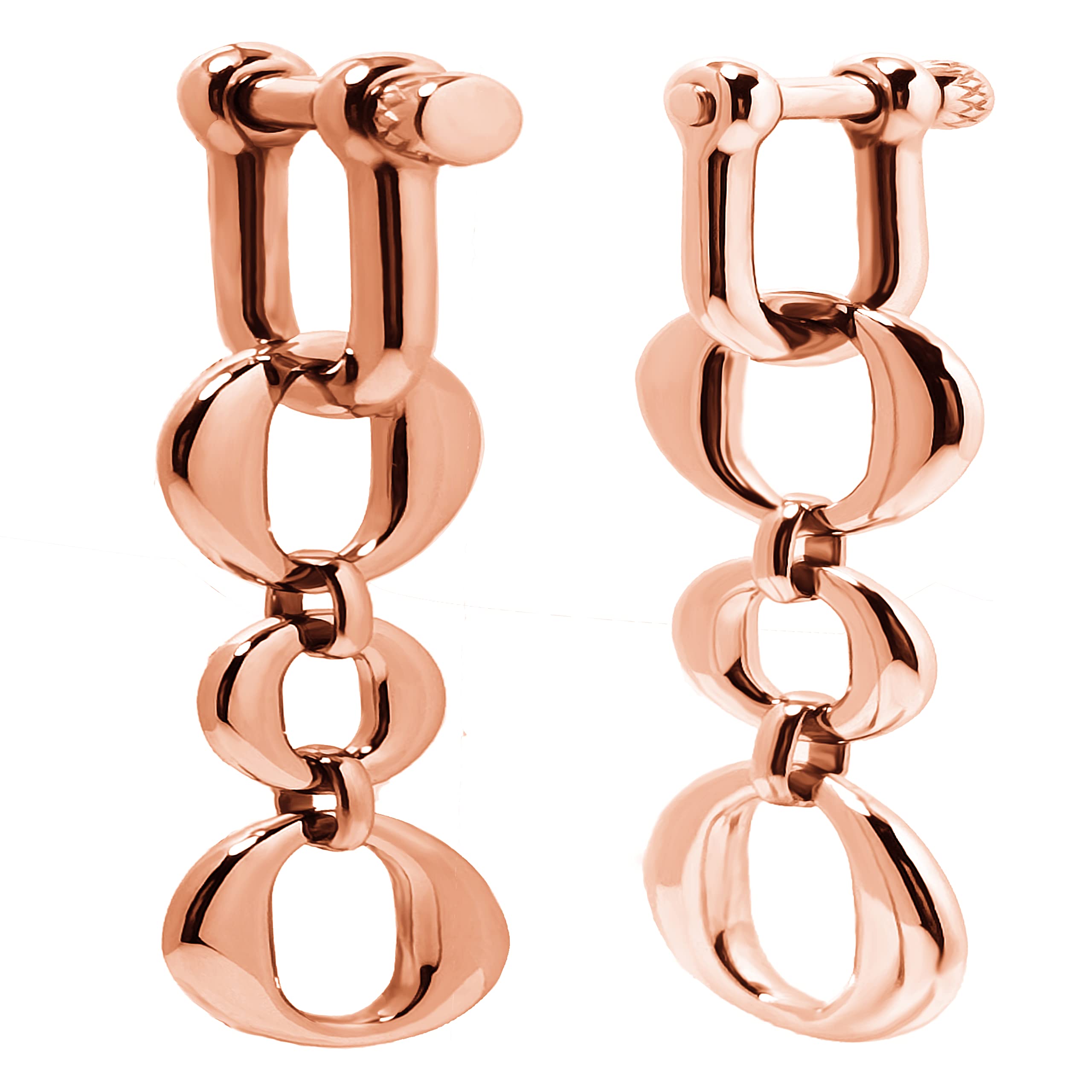 DewGem Hoops Dangling Plugs Link Dangle Ear Gauges for Ear Tunnels Stainless Steel Dangling Plugs and Tunnels Ear Stretching Kits Dangle Gauges Ear Plugs for Women Size 6G(Silver & Link)